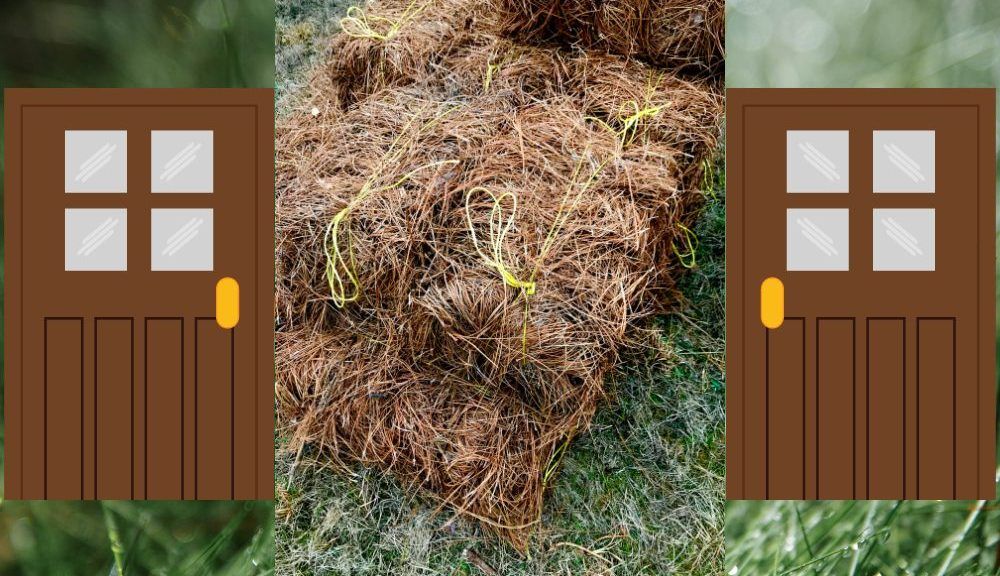 Officials Say Door-to-Door Pine Straw Scam Is Spreading Across Georgia ...