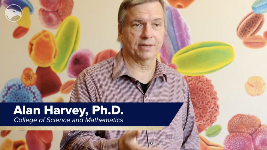 Home Page • The Georgia Virtue