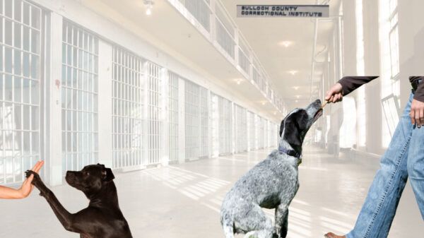 Bulloch Crime & Safety Reports • The Georgia Virtue