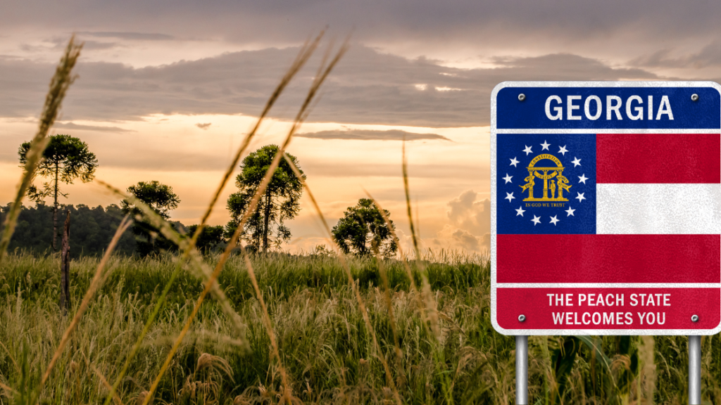 Local Gov't Around GA Archives • The Georgia Virtue