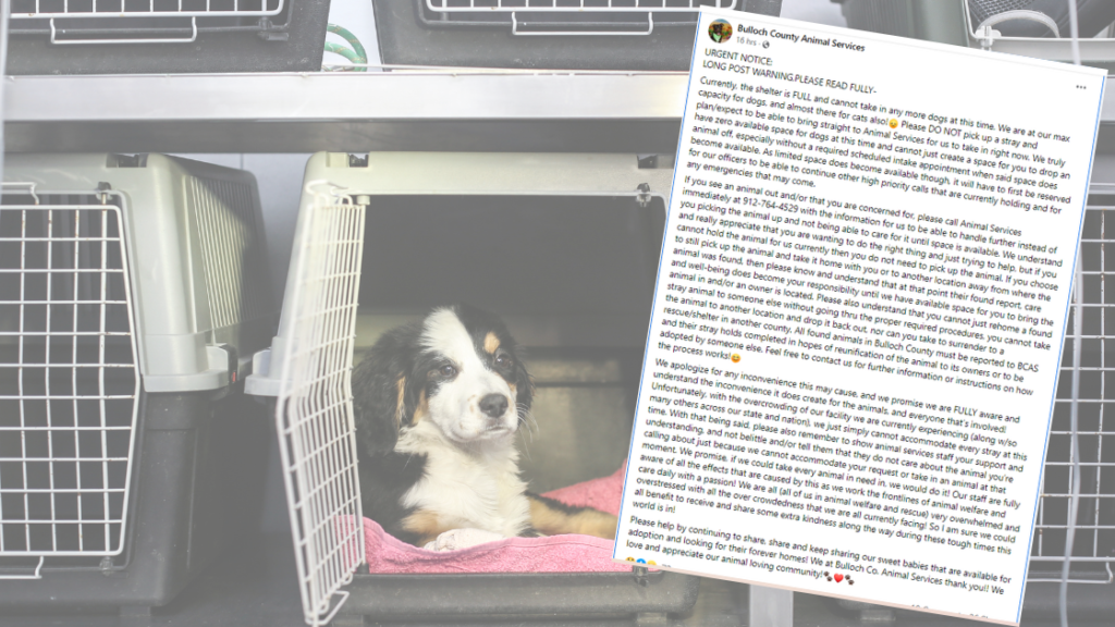 Bulloch Crime & Safety Reports • The Georgia Virtue