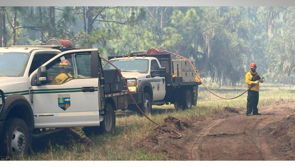 Follow-up audit finds progress from Georgia Forestry Commission program ...